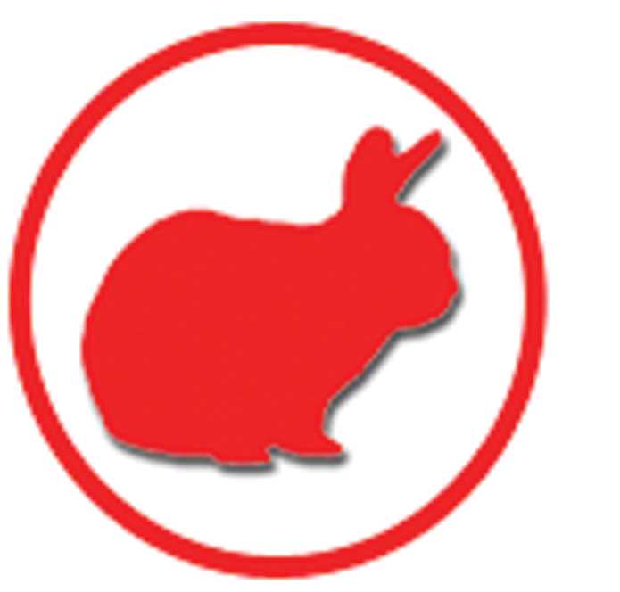 Red Rabbit Logo The Red Rabbit | Stratford ON